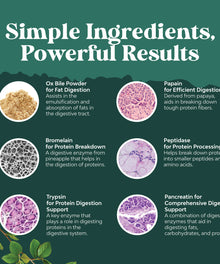 Ox Bile Complex – Nature's Craft