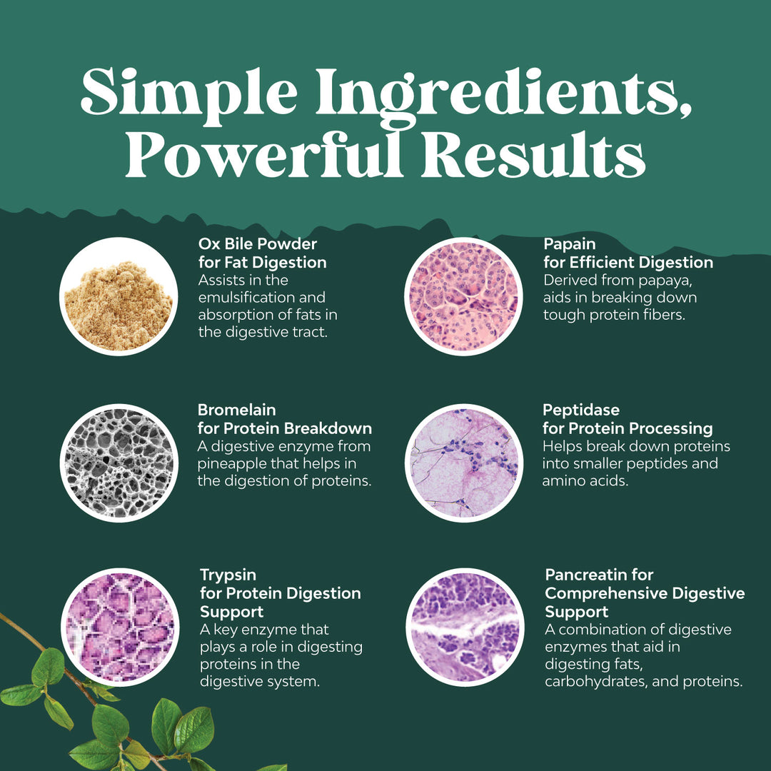 Ox Bile Complex – Nature's Craft