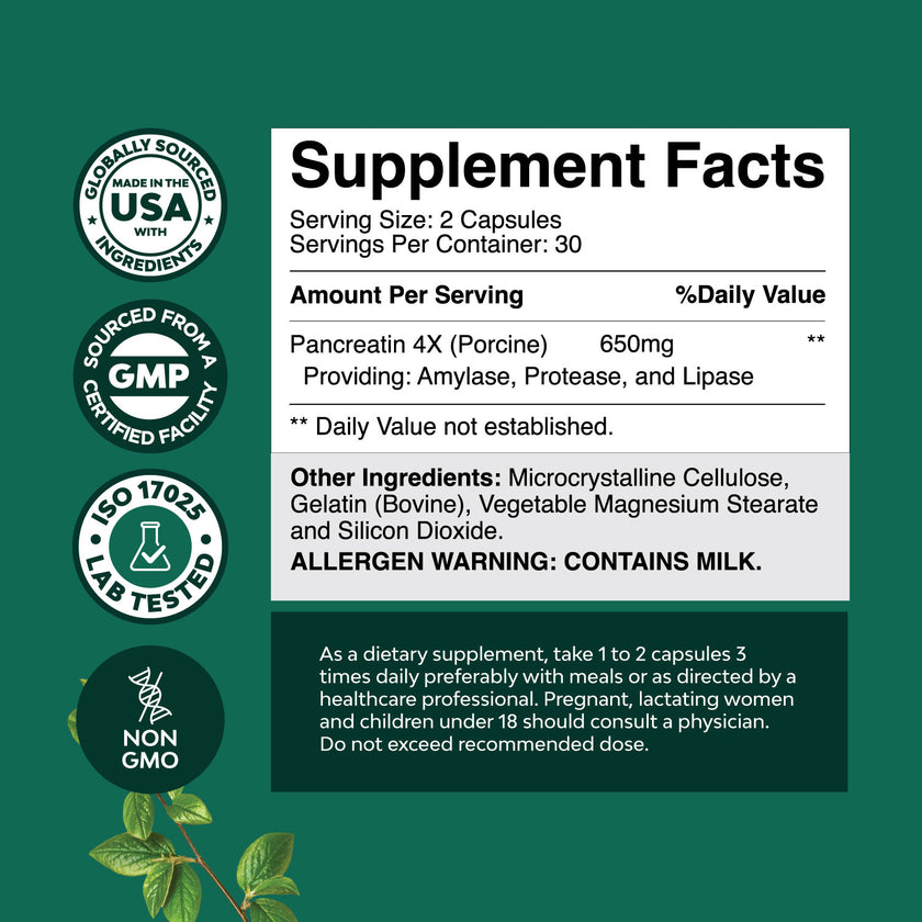 Pancreatic Enzymes – Nature's Craft